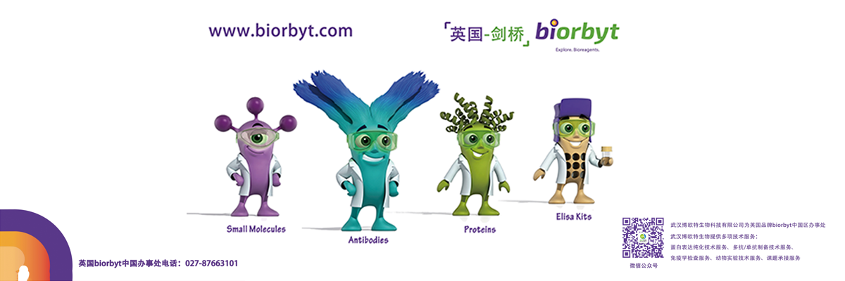 英国biorbyt试剂品牌生易网,Biolabx.cn,Xcelerate Biolab Research